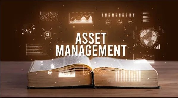 Quick byte: What the Asset? – Julia's Dev